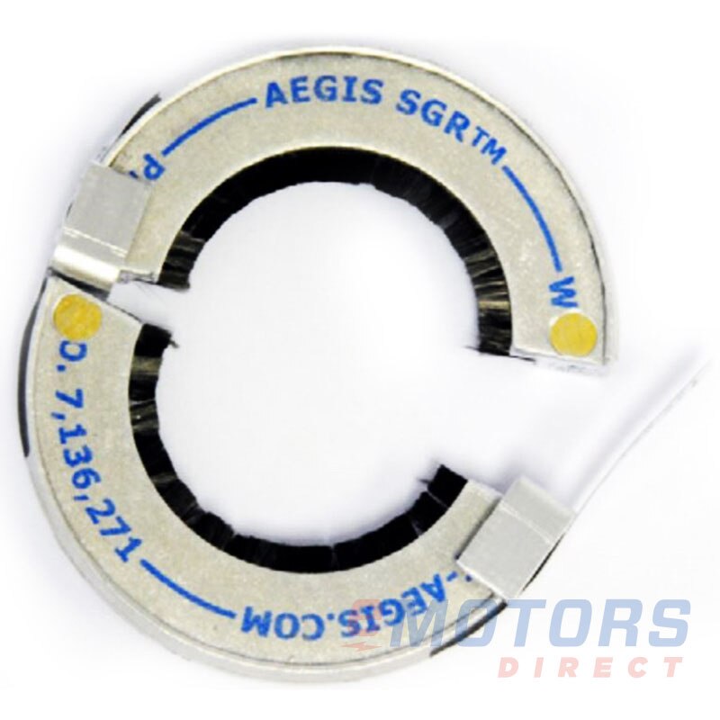 AEGIS SGR-20.7-2A4 Grounding Rings | eMotors Direct